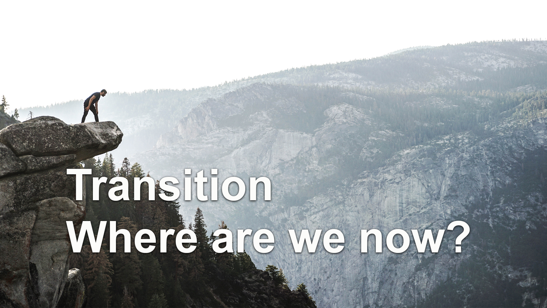 Transition where are we now? - LInda Bazant